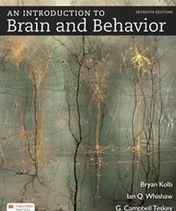 An Introduction to Brain and Behavior (7th edition) - Magictransferidea