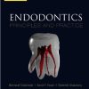 Endodontics: Principles and Practice (6th edition) - Magictransferidea